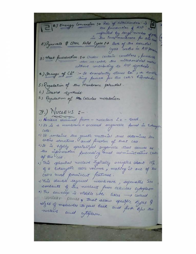 Human Cell Study - Notes - LearnPick India