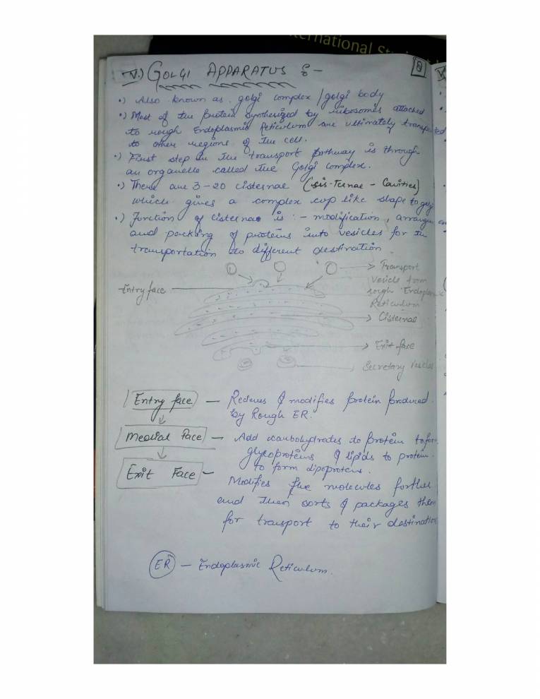 Human Cell Study - Notes - LearnPick India