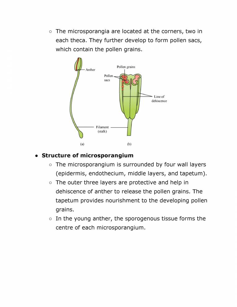 Sexual Reproduction In Flowering Plants - Notes - LearnPick India