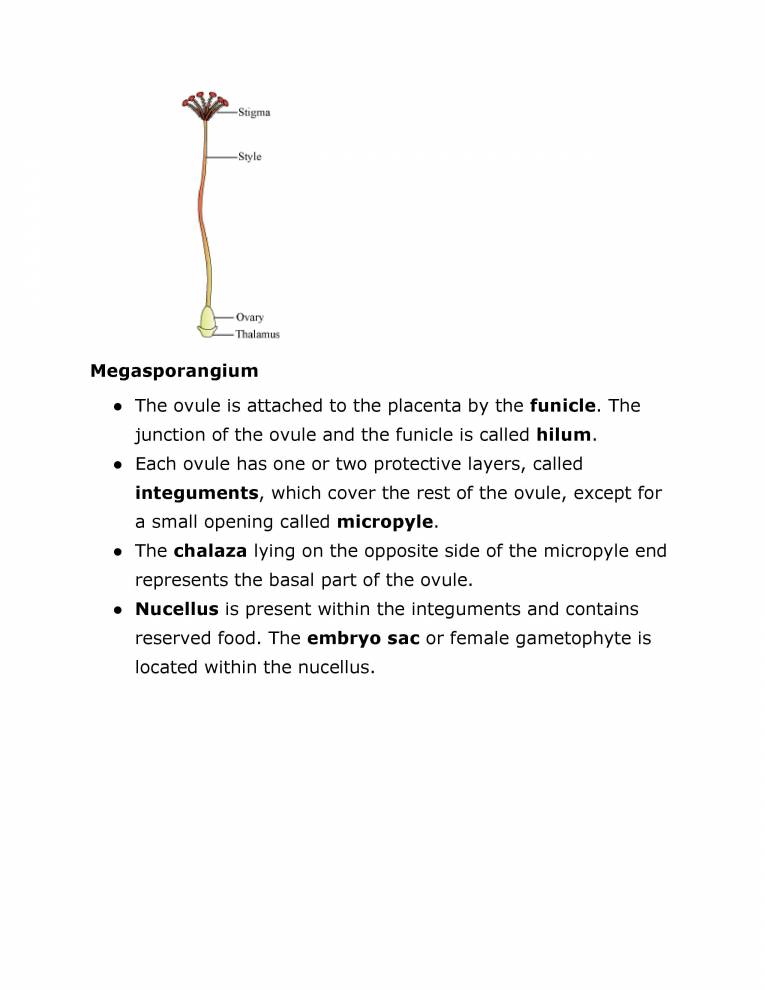 Sexual Reproduction In Flowering Plants - Notes - LearnPick India