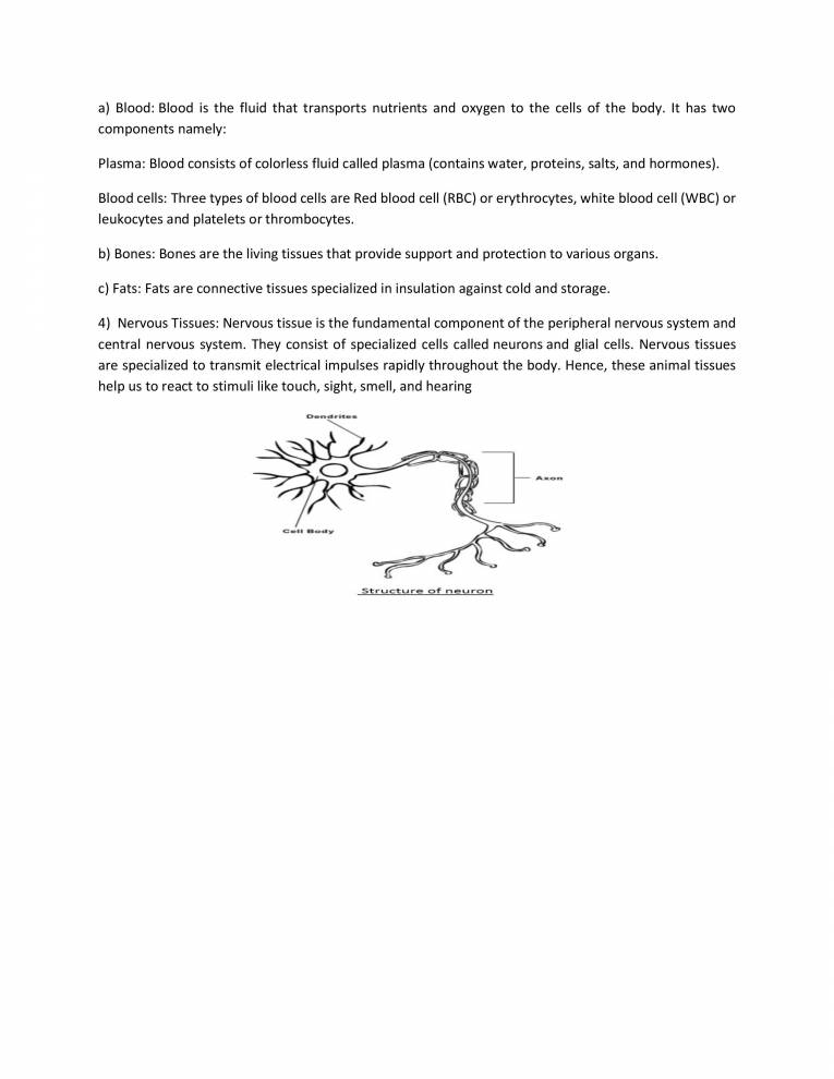 Animal Tissue - Notes - LearnPick India