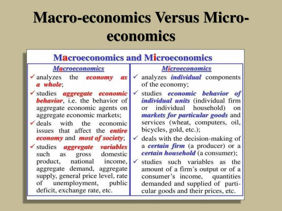 MACRO-ECONOMICS - PowerPoint Slides - LearnPick India