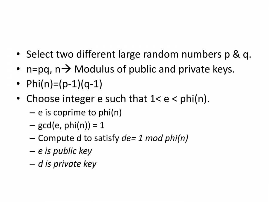 Computer Network Security Basics - PowerPoint Slides - LearnPick India