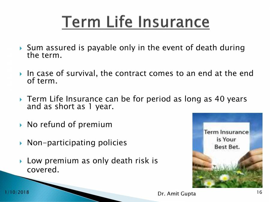Life Insurance - PowerPoint Slides - LearnPick India