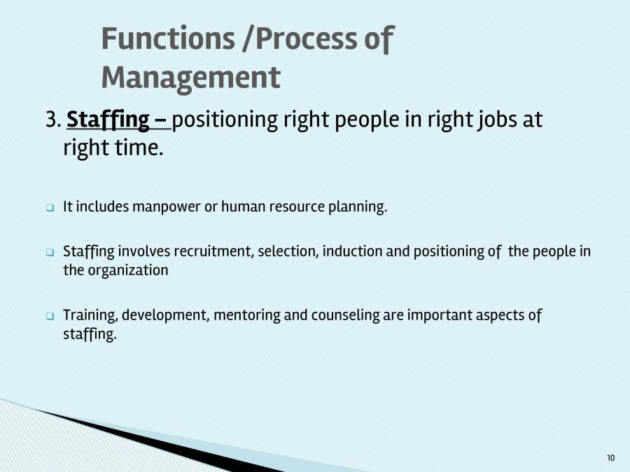Principle Of Management - Organization - PowerPoint Slides - LearnPick ...