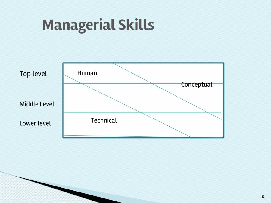 Principle Of Management - Organization - PowerPoint Slides - LearnPick ...