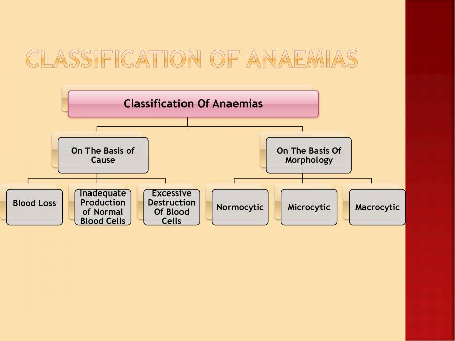 Anaemia- Classification, Types, Causes, Pathophysiology, Etiology ...