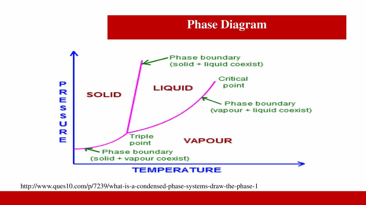 Phase Rule - PowerPoint Slides - LearnPick India