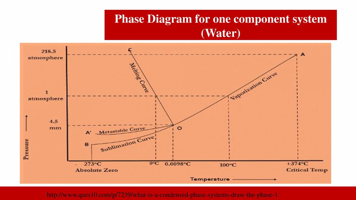 Phase Rule - PowerPoint Slides - LearnPick India