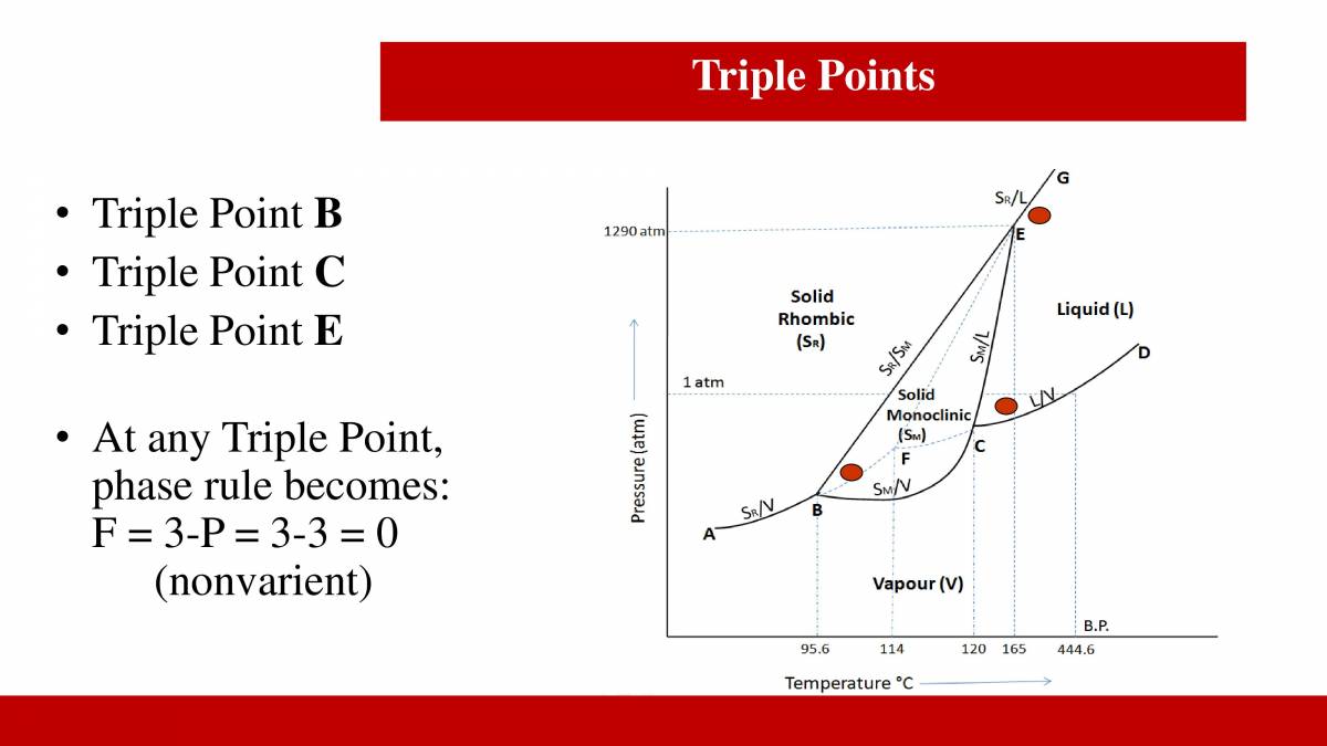Phase Rule - PowerPoint Slides - LearnPick India