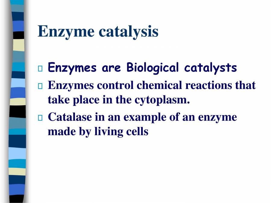 Catalysis - PowerPoint Slides - LearnPick India