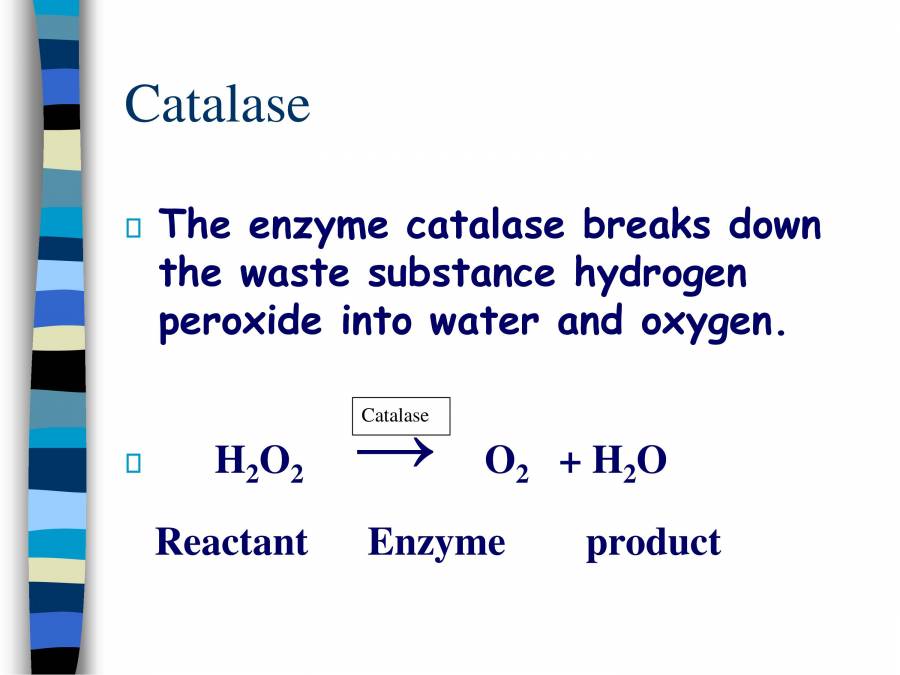 Catalysis - PowerPoint Slides - LearnPick India