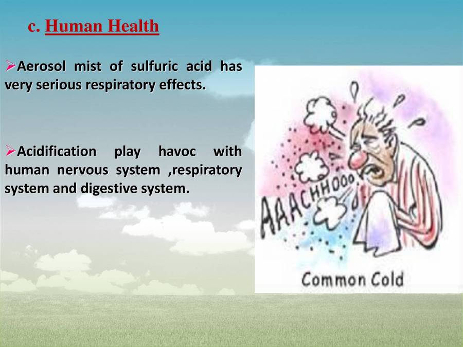 Acid Rain Effects On Human Health