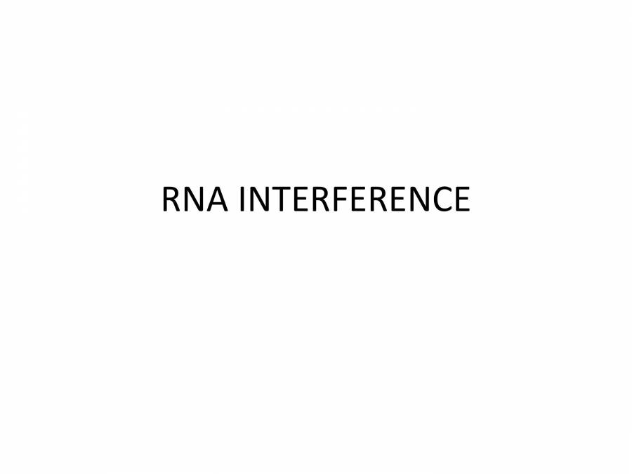 RNA INTERFERENCE - PowerPoint Slides - LearnPick India