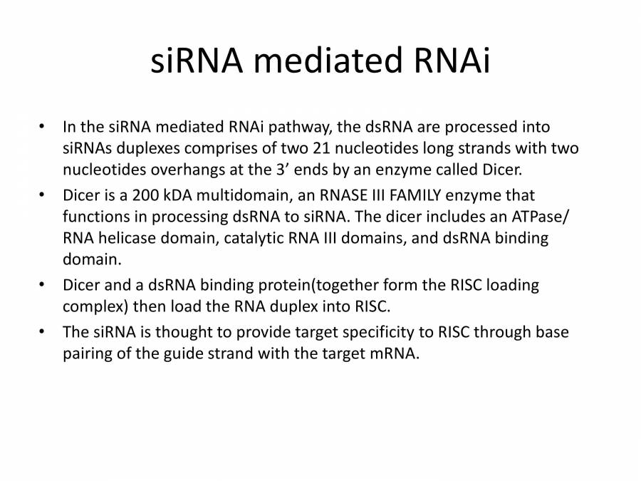 RNA INTERFERENCE - PowerPoint Slides - LearnPick India