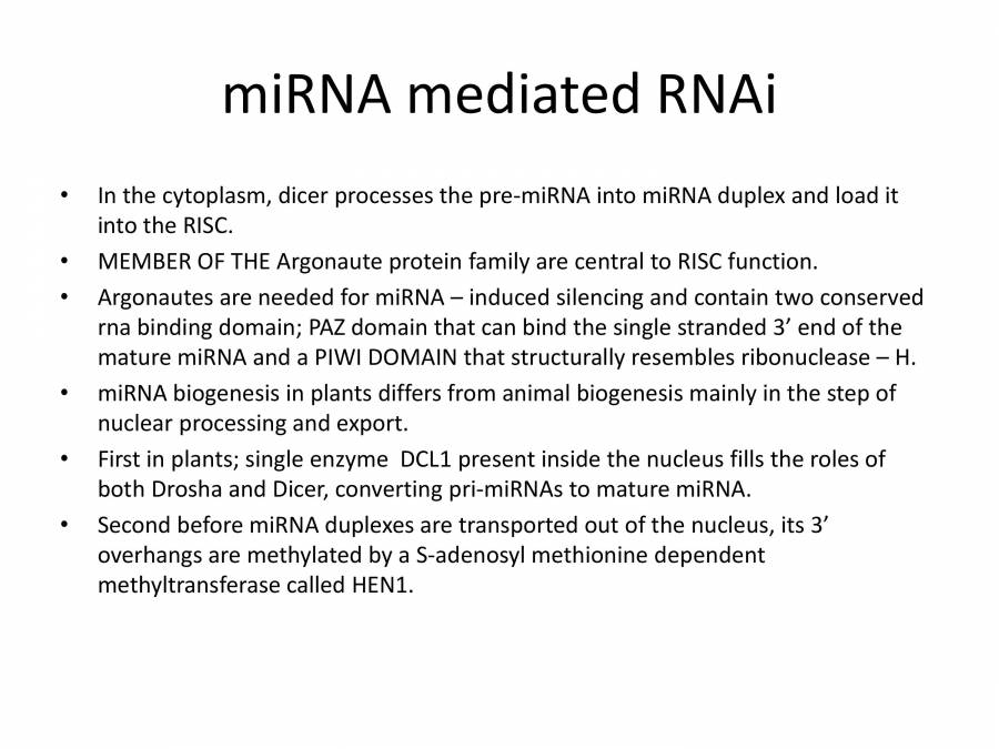 RNA INTERFERENCE - PowerPoint Slides - LearnPick India