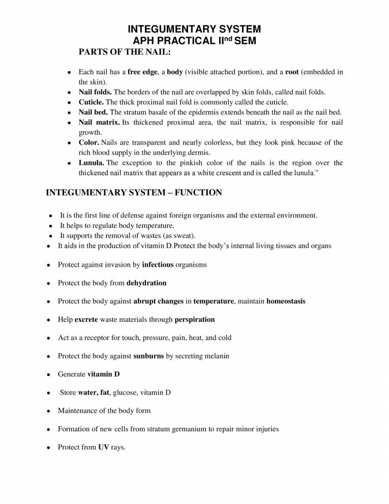 Integumentary System - PowerPoint Slides - LearnPick India
