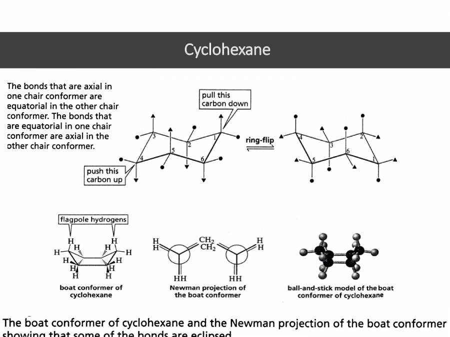 Structure Of Polymer Chain - PowerPoint Slides - LearnPick India