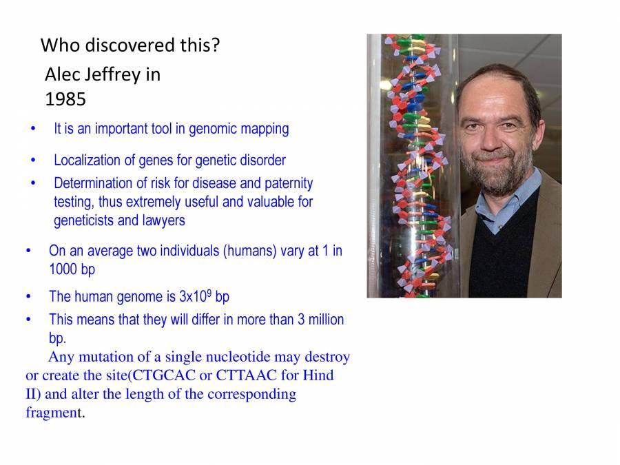 Restriction Fragment Length Polymorphism - PowerPoint Slides ...