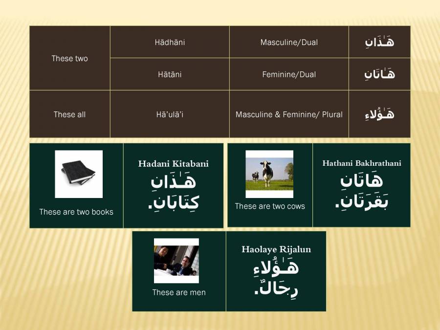 Arabic Demonstrative Pronouns - PowerPoint Slides - LearnPick India