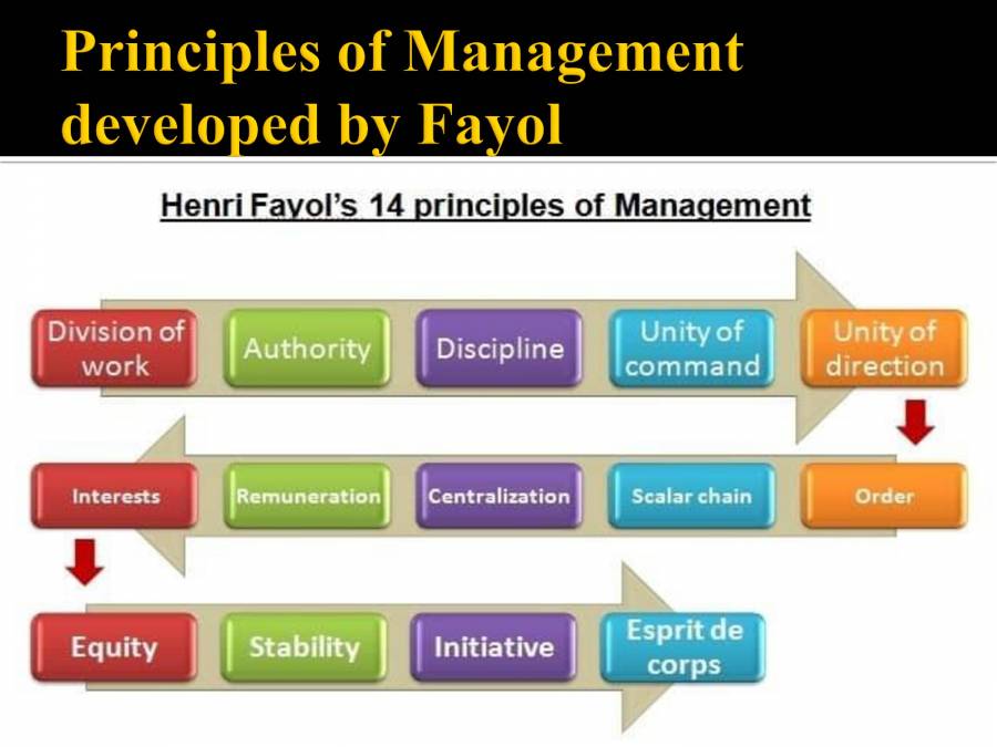 PPT For Class XII Business Studies - PowerPoint Slides - LearnPick India