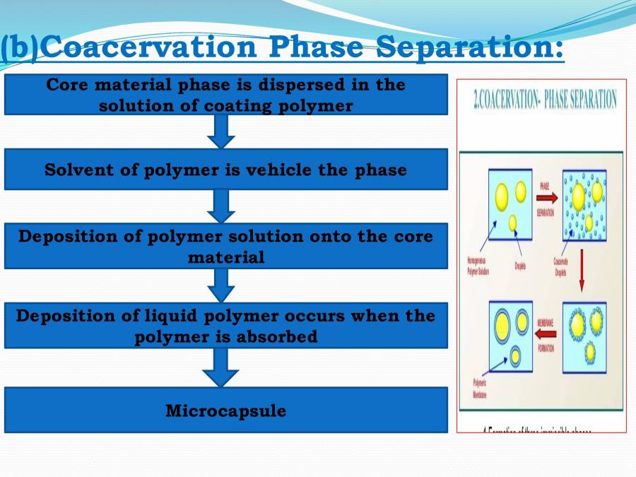 Microencapsulation For B.Pharm Students - PowerPoint Slides - LearnPick ...
