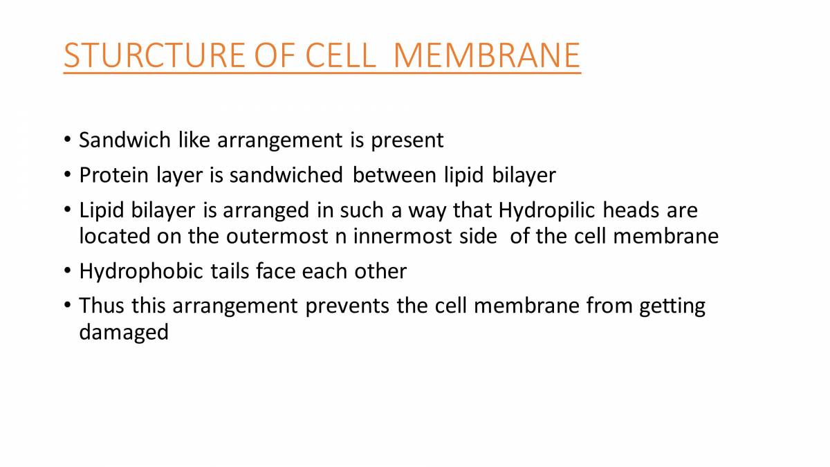 Cell Membrane - PowerPoint Slides - LearnPick India