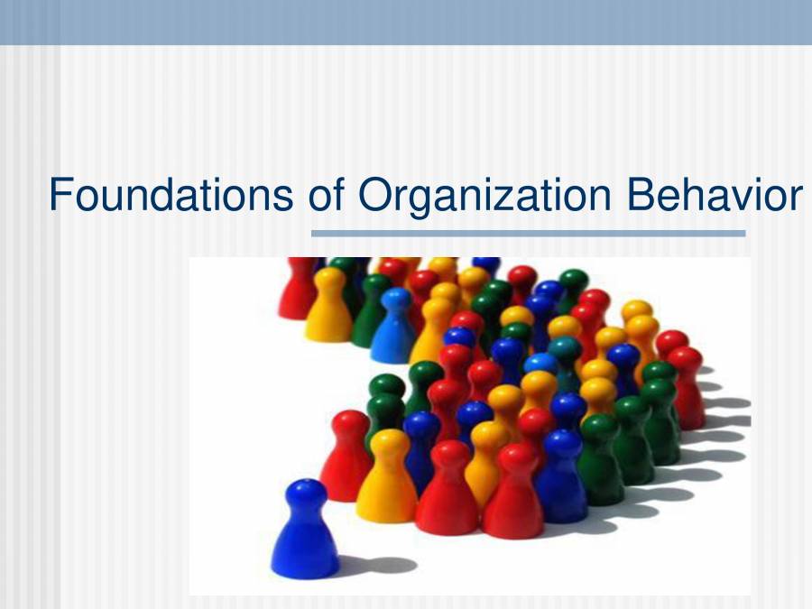 Foundation Of Organizational Behaviour - PowerPoint Slides - LearnPick India