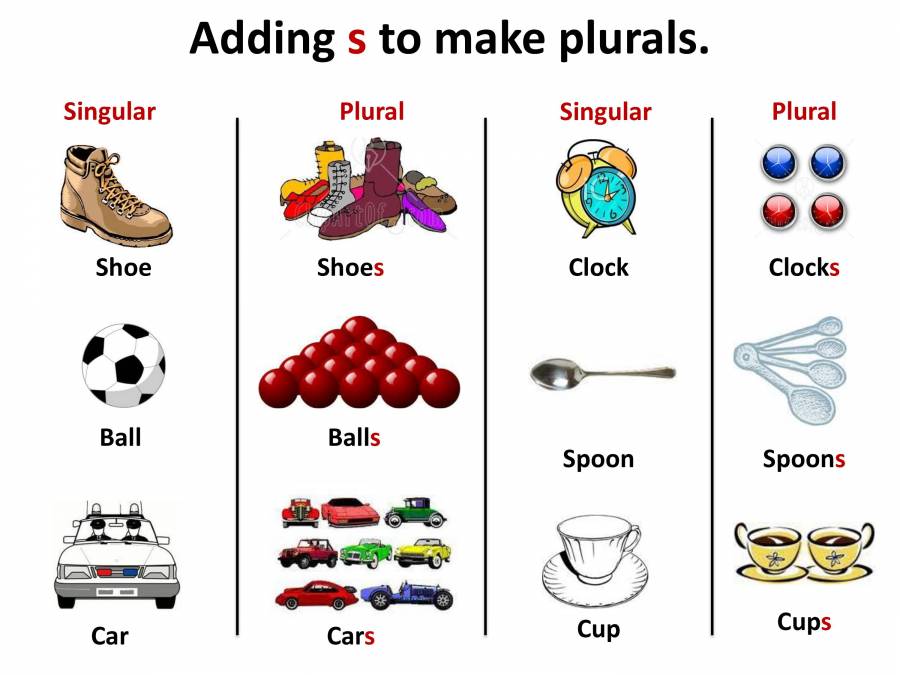 Singular And Plural - English Grammar - PowerPoint Slides - LearnPick India