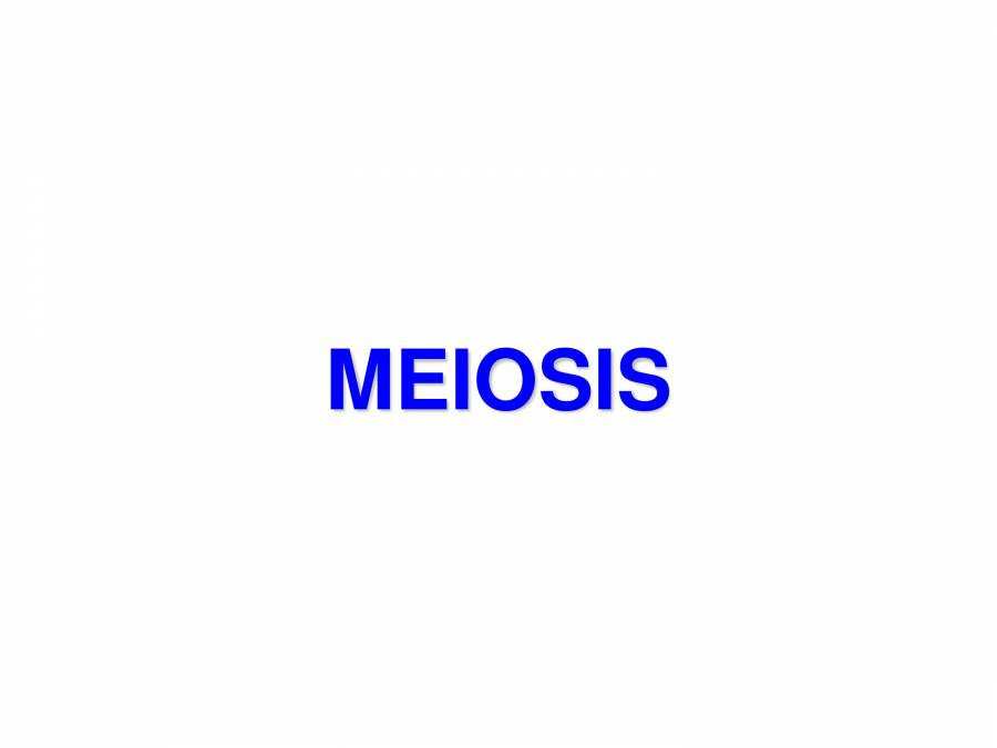 Meiosis - PowerPoint Slides - LearnPick India