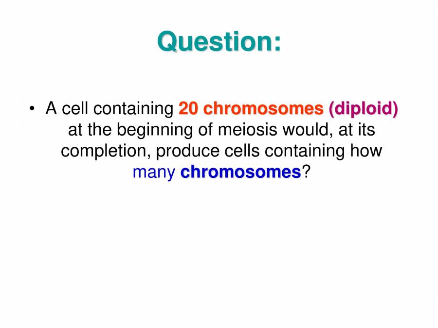 Meiosis - PowerPoint Slides - LearnPick India