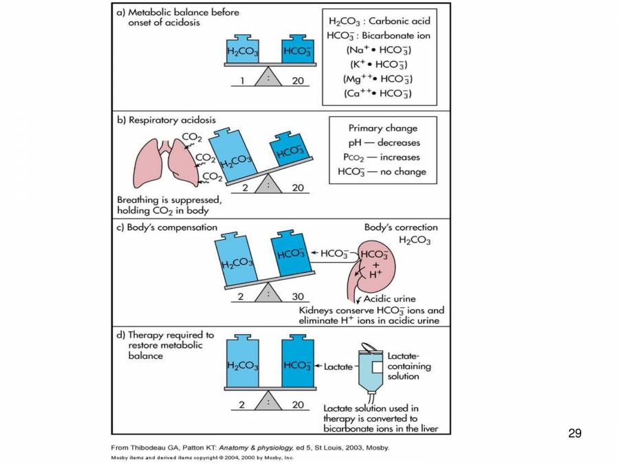 Acid And Base - PowerPoint Slides - LearnPick India