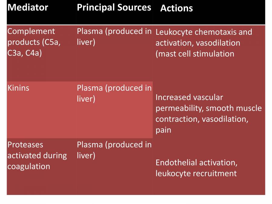 Acute Inflammation - PowerPoint Slides - LearnPick India