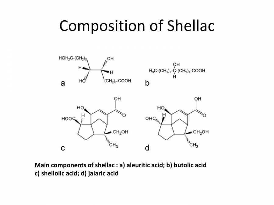 Shellac - PowerPoint Slides - LearnPick India