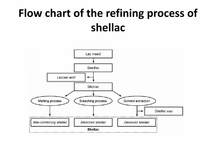 Shellac - PowerPoint Slides - LearnPick India