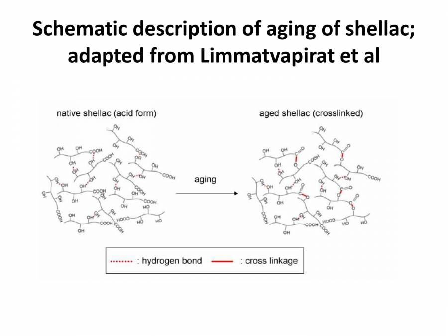 Shellac - PowerPoint Slides - LearnPick India