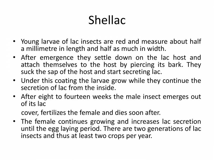 Shellac - PowerPoint Slides - LearnPick India