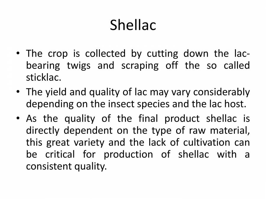 Shellac - PowerPoint Slides - LearnPick India