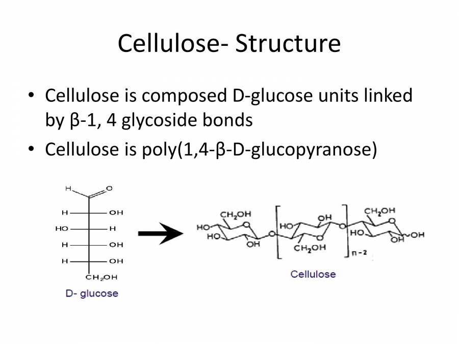 Cellulose And Cellulose Nitrate - PowerPoint Slides - LearnPick India