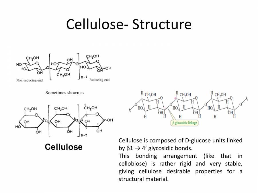 Cellulose And Cellulose Nitrate - PowerPoint Slides - LearnPick India