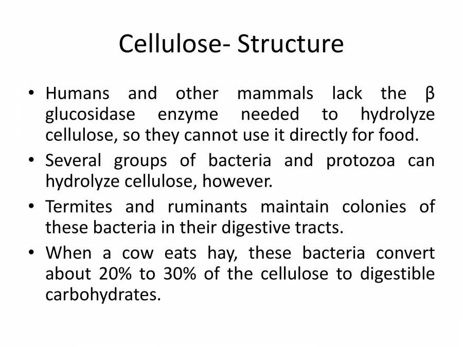 Cellulose And Cellulose Nitrate - PowerPoint Slides - LearnPick India