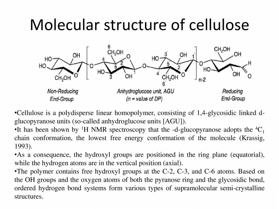 Cellulose And Cellulose Nitrate - PowerPoint Slides - LearnPick India