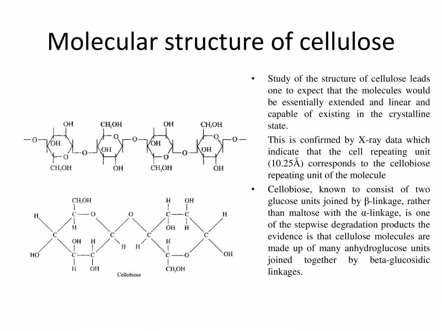 Cellulose And Cellulose Nitrate - PowerPoint Slides - LearnPick India