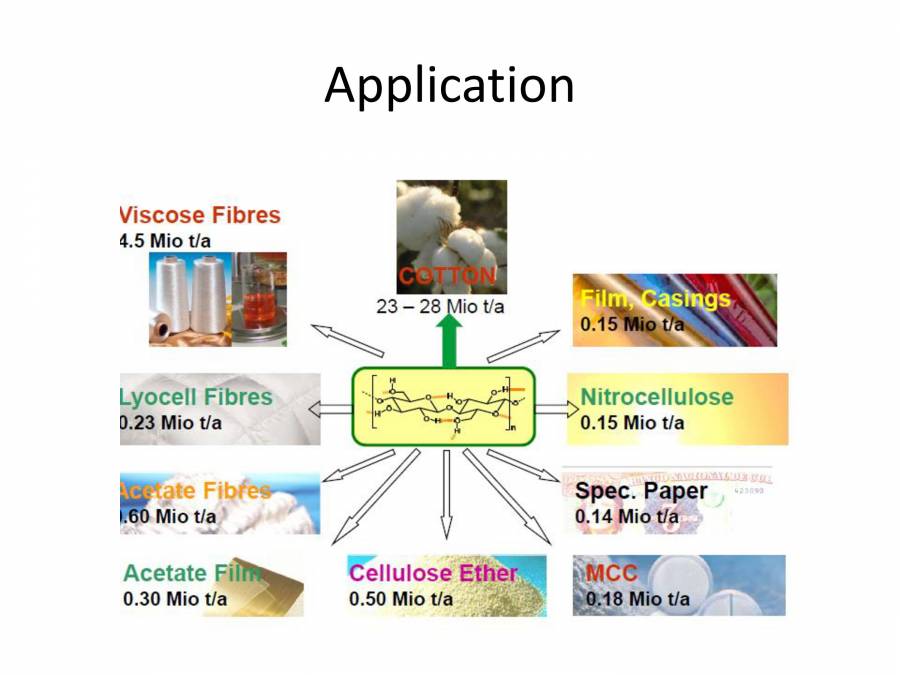 Cellulose And Cellulose Nitrate - PowerPoint Slides - LearnPick India