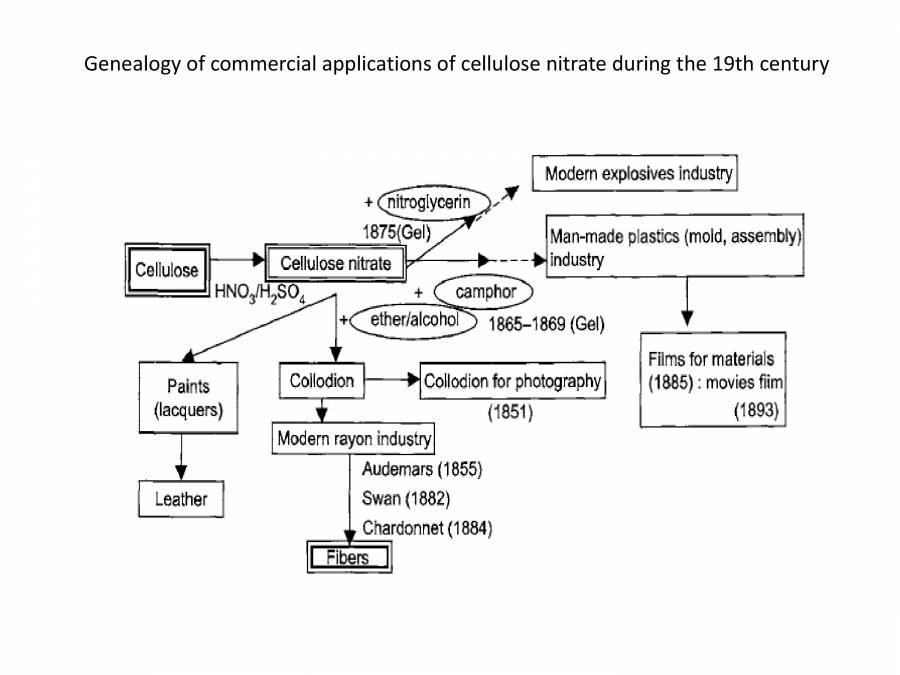 Cellulose And Cellulose Nitrate - PowerPoint Slides - LearnPick India