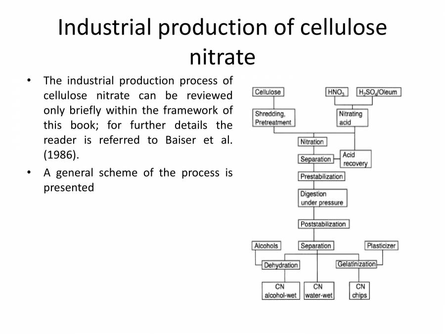 Cellulose And Cellulose Nitrate - PowerPoint Slides - LearnPick India