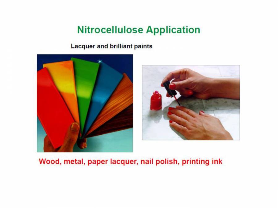 Cellulose And Cellulose Nitrate - PowerPoint Slides - LearnPick India