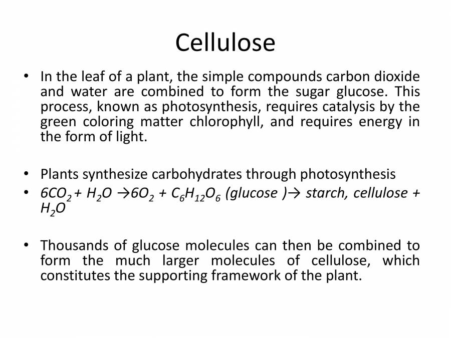 Cellulose And Cellulose Nitrate - PowerPoint Slides - LearnPick India