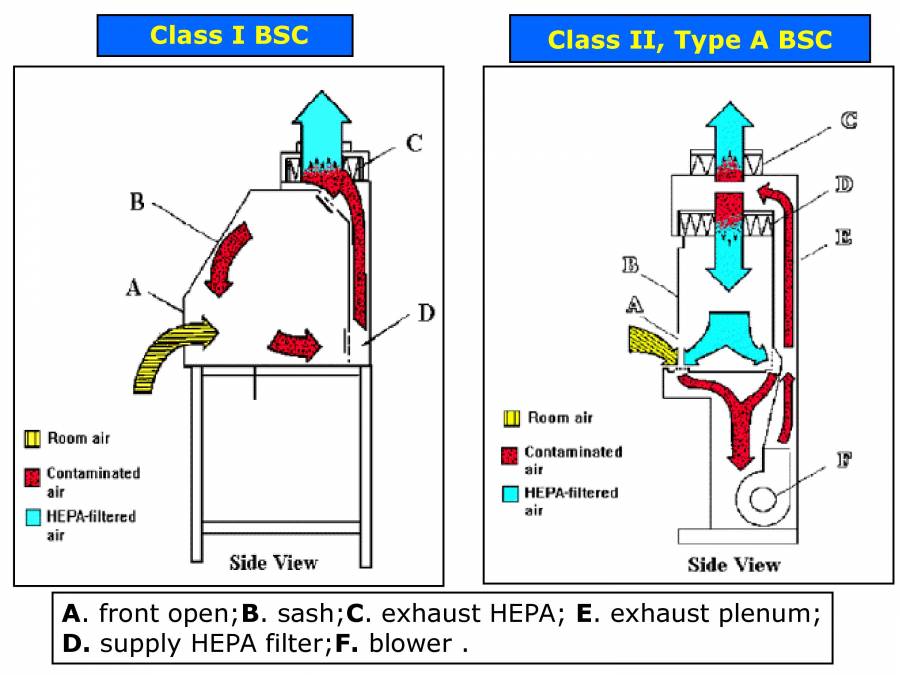 Biosafety - PowerPoint Slides - LearnPick India