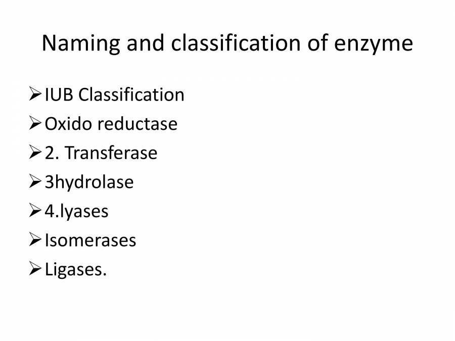 ENZYME - PowerPoint Slides - LearnPick India